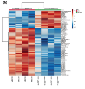 » Lipedema vs. Normal Fat: Dr. Wright and Dr. Herbst Explain - Lipedema