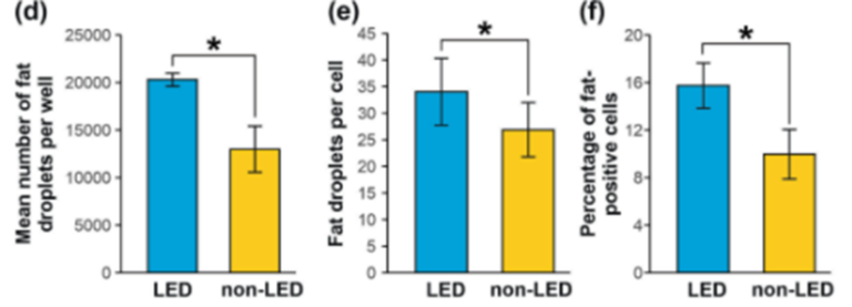 » Lipedema vs. Normal Fat: Dr. Wright and Dr. Herbst Explain - Lipedema